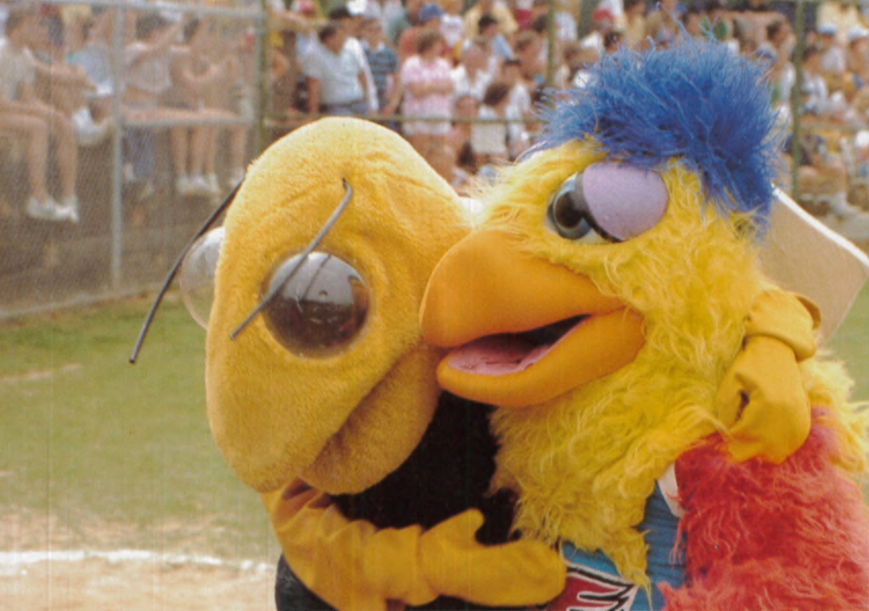 Georgia Tech Traditions: Media